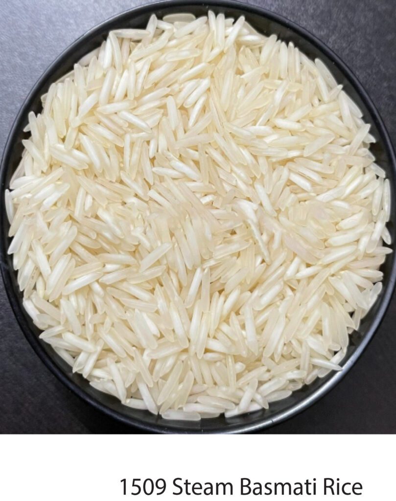 1509 Basmati Rice Trusted bulk Supplier